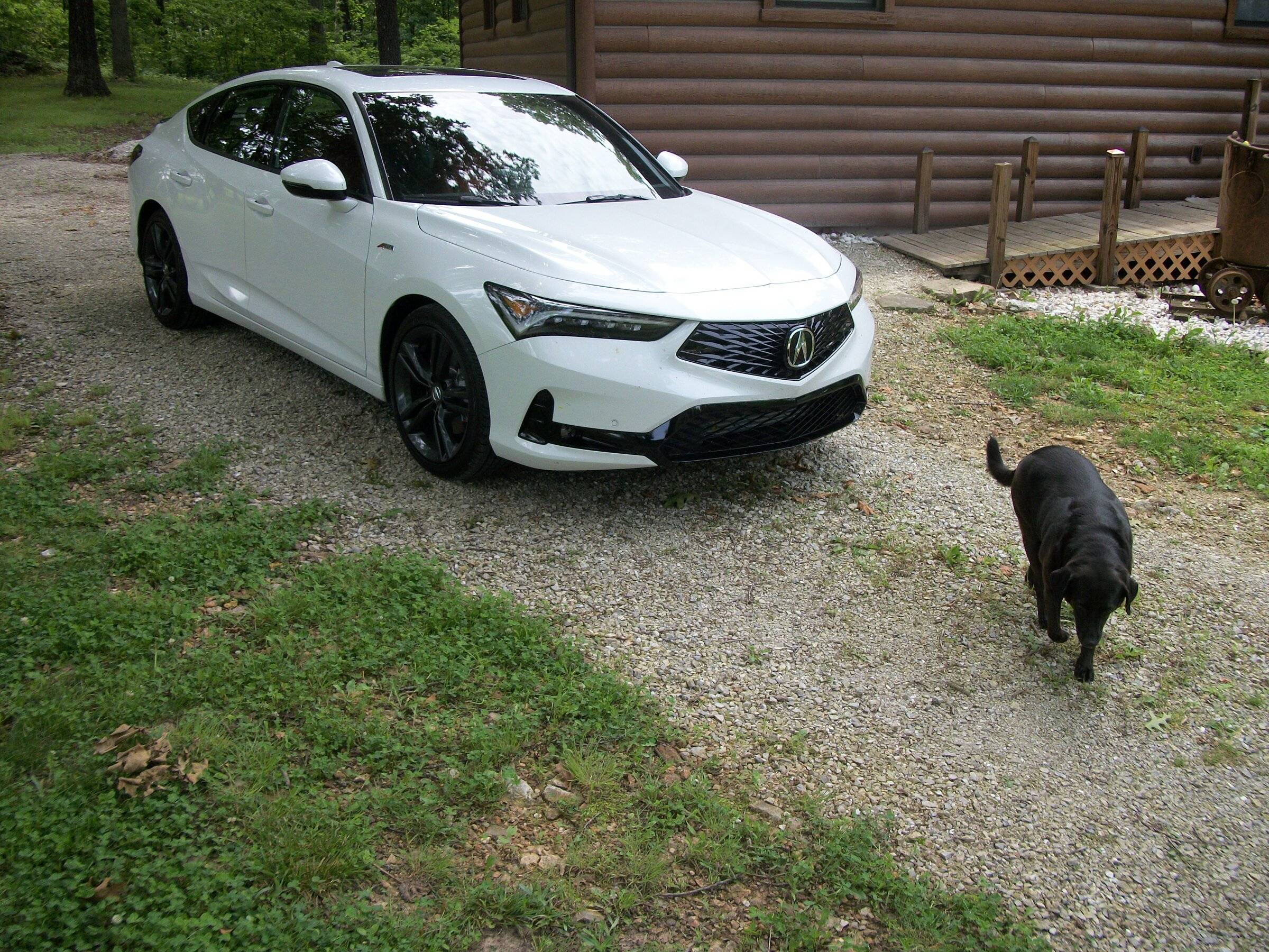 Got my PWP ASpec Tech June 2nd, | IntegraForums - 2023+ Acura Integra ...