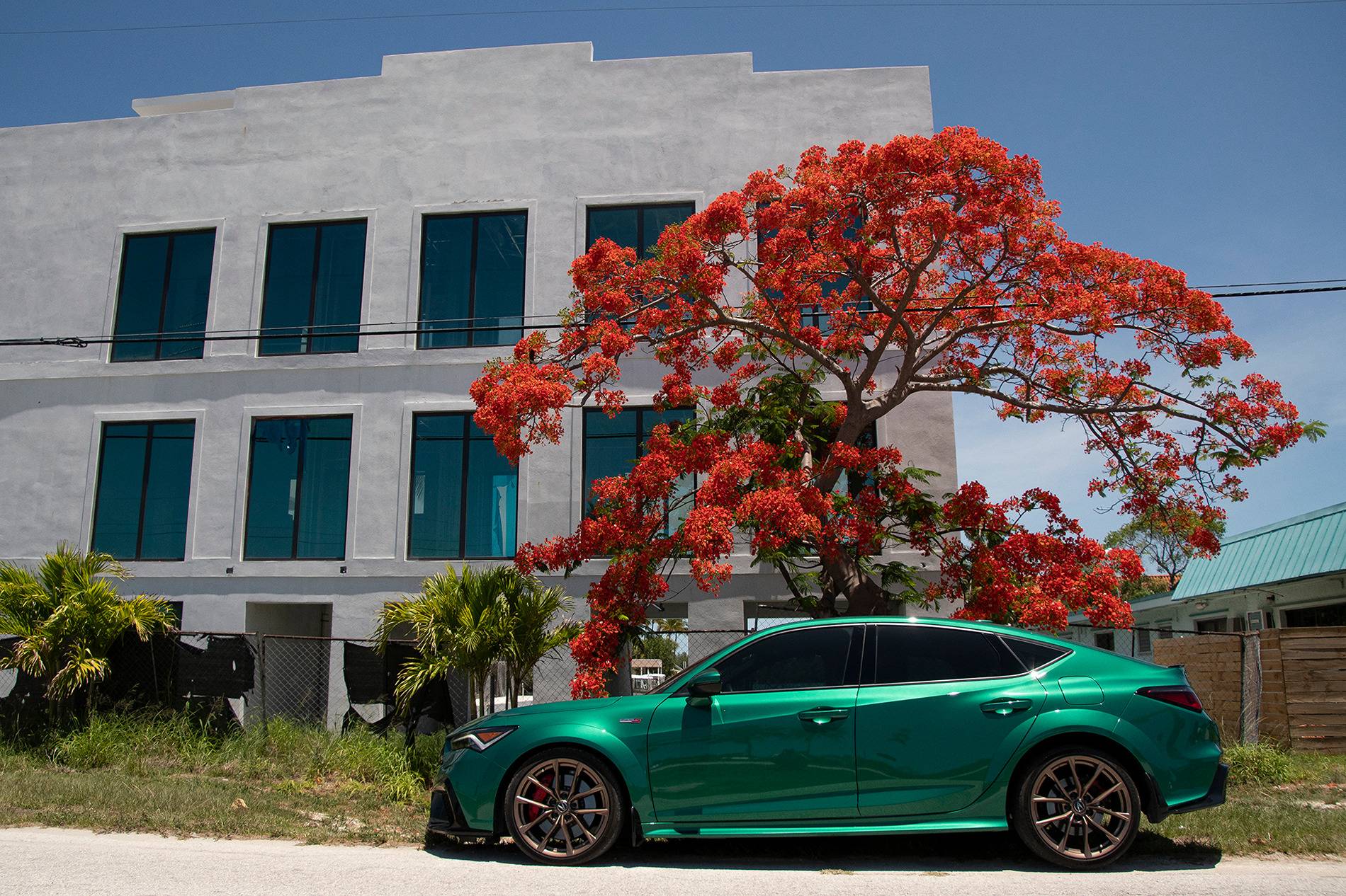 Type S Isle of Man Green Paint Job | IntegraForums - 2023+ Acura Integra & Type S Forums, News ...