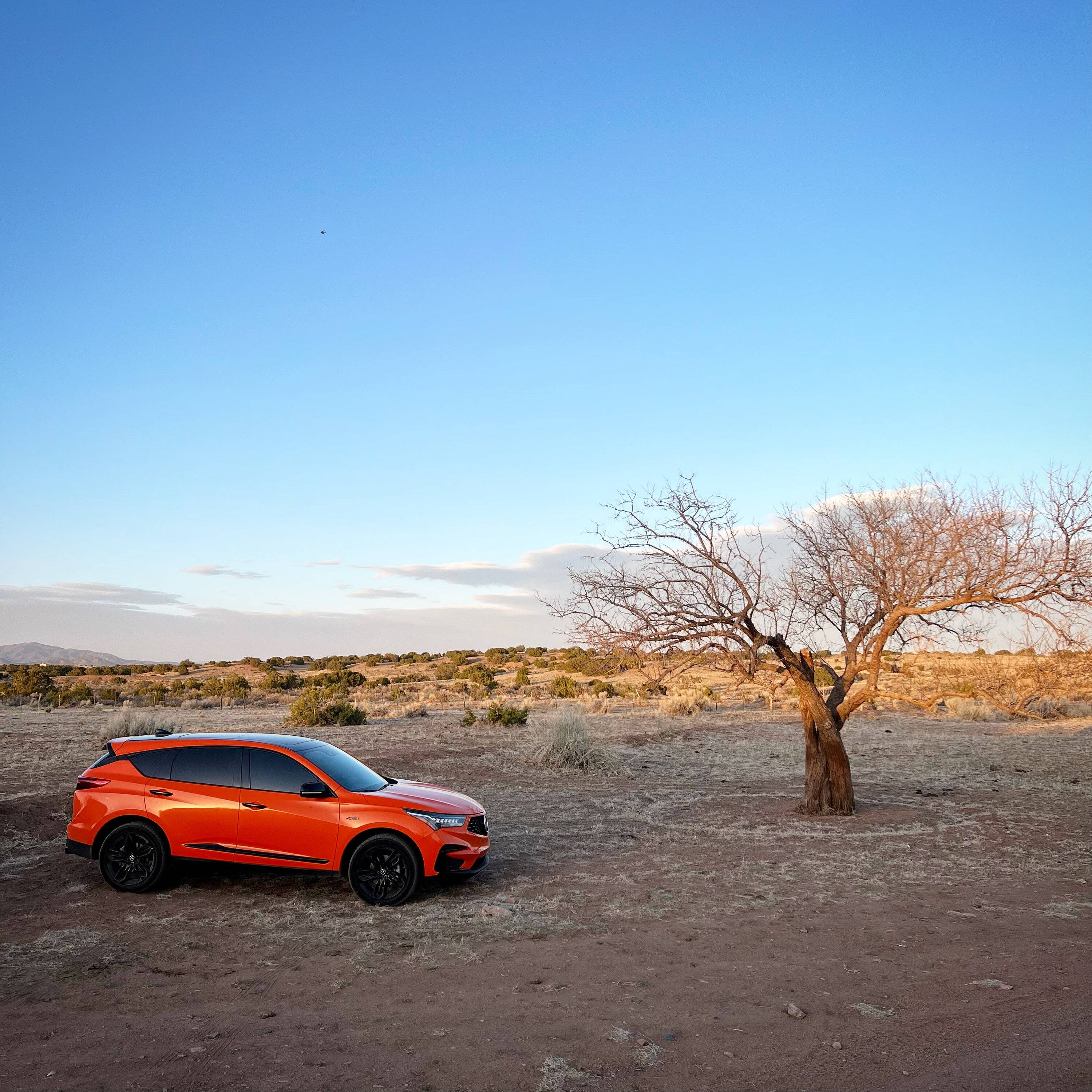 Introducing the 2024 Acura Integra Type S! On Sale in June | Page 13 ...