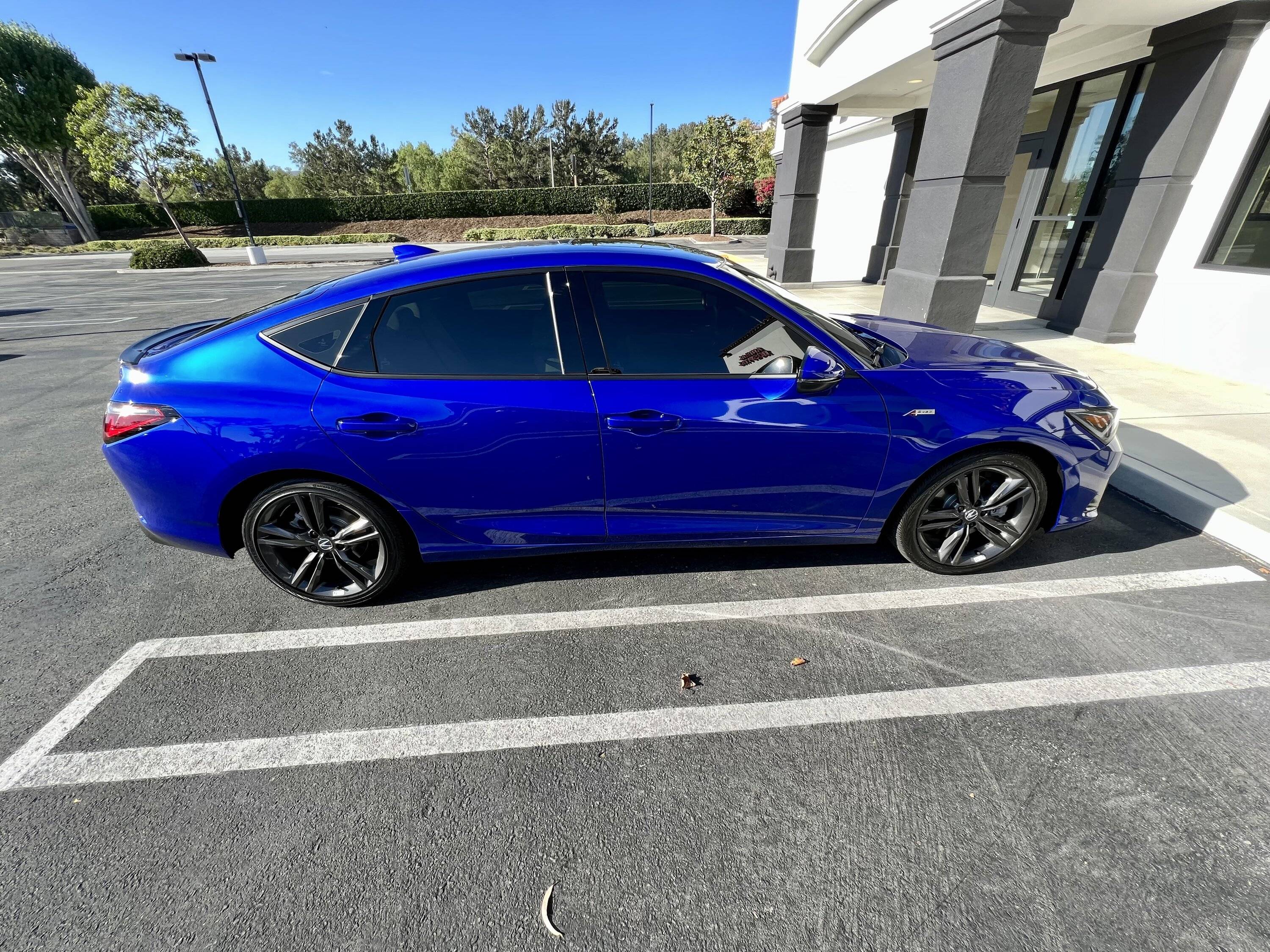 Official APEX BLUE PEARL Integra Club & Photos | Page 2 | IntegraForums ...