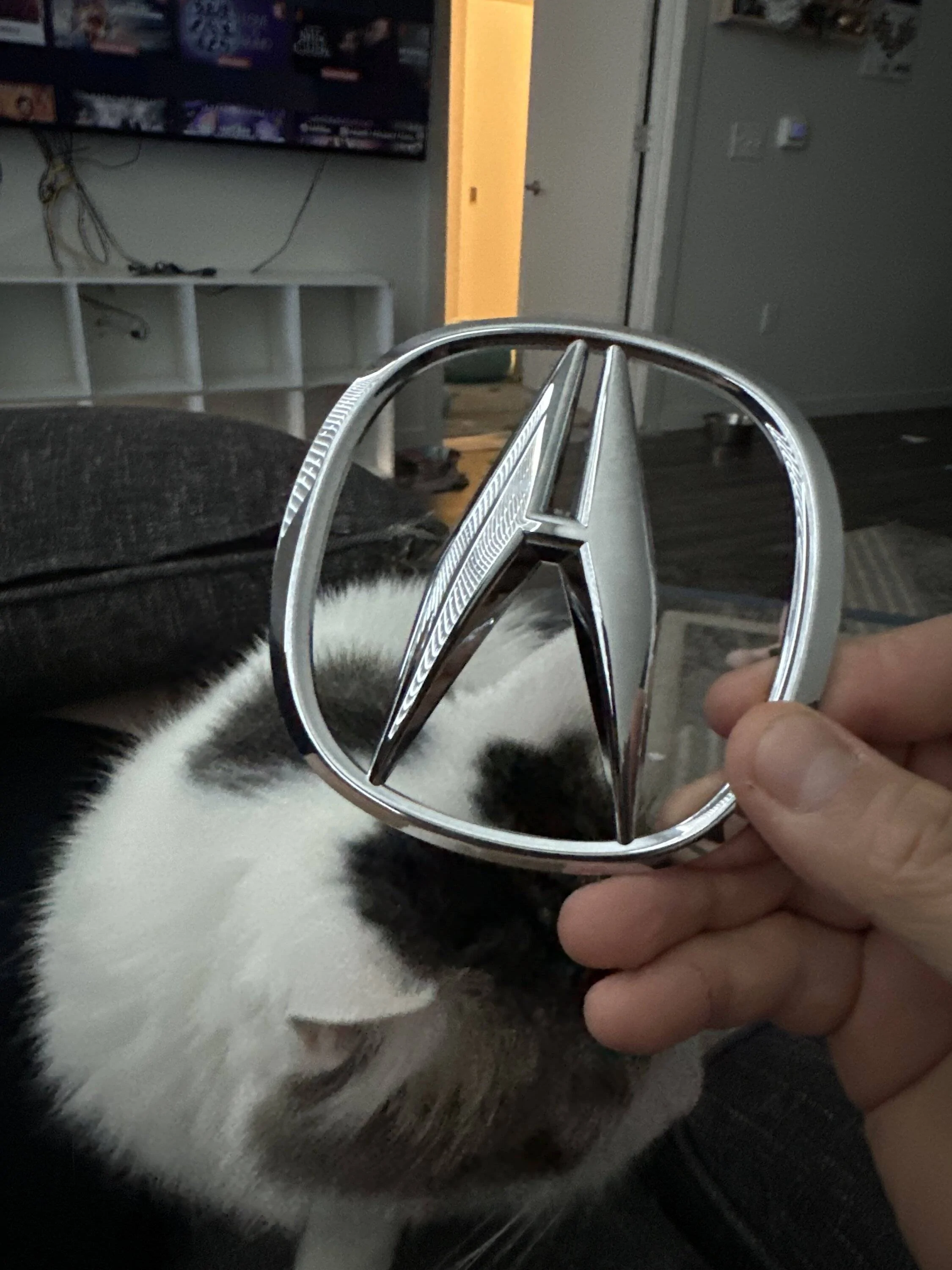 Custom Emblem | IntegraForums - 2023+ Acura Integra & Type S Forums ...