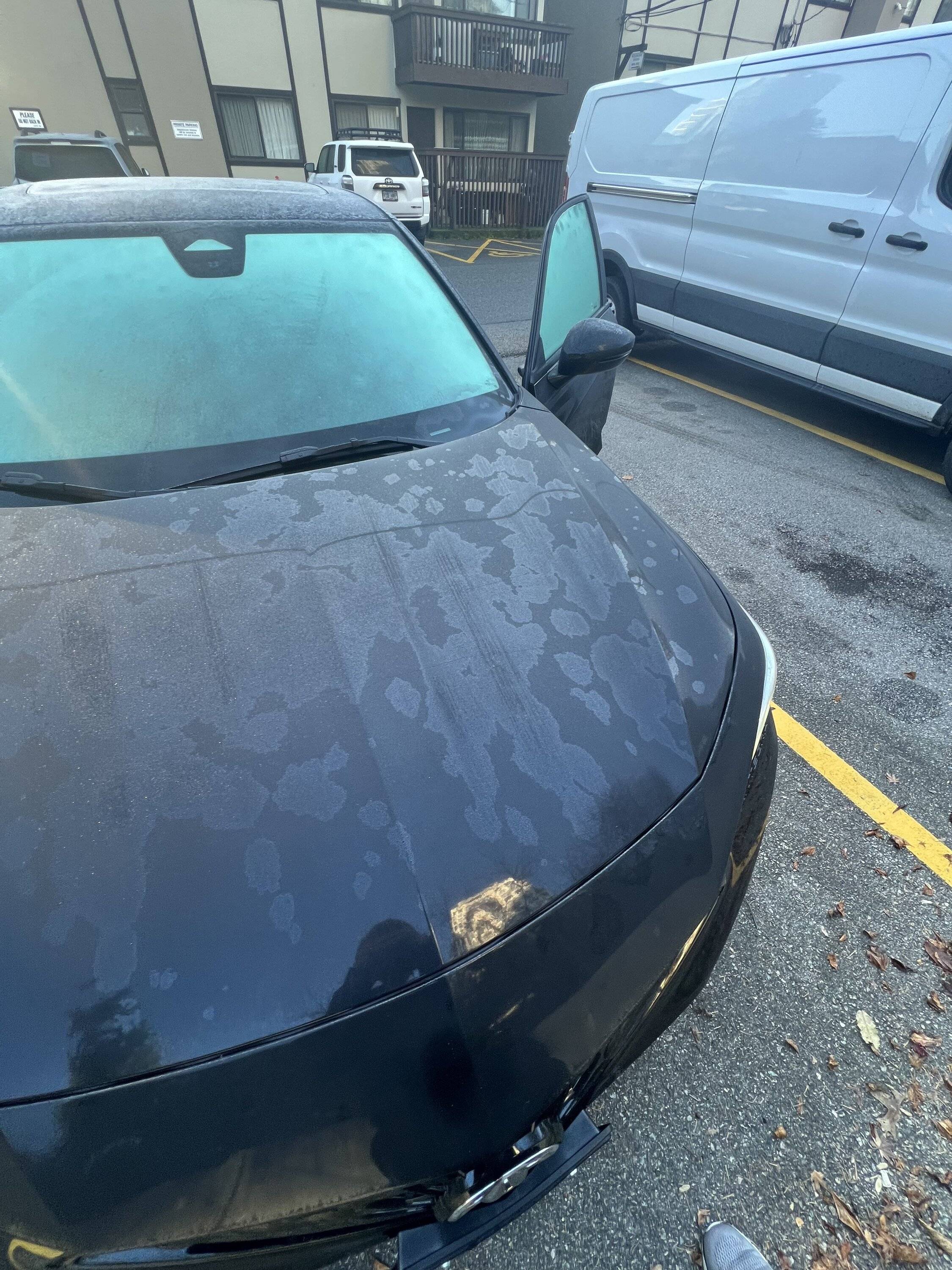 Bad ceramic coating job? Would appreciate your insight! | IntegraForums ...