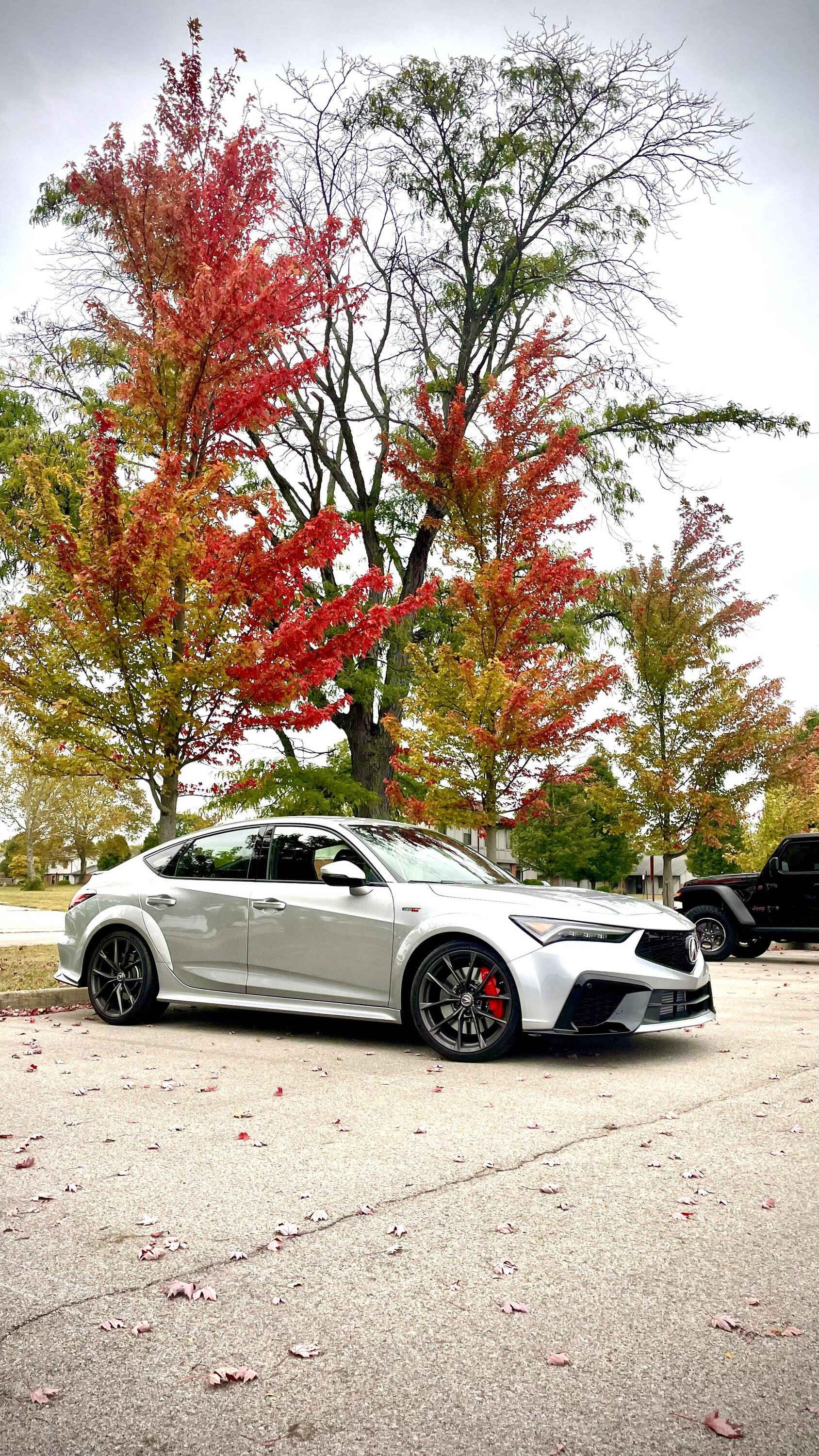 Lunar Silver Metallic | IntegraForums - 2023+ Acura Integra & Type S ...