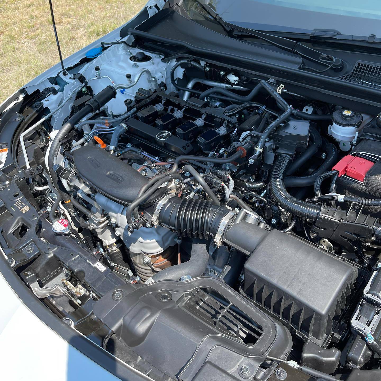 Official PLATINUM WHITE Integra Club & Photos | IntegraForums - 2023 ...