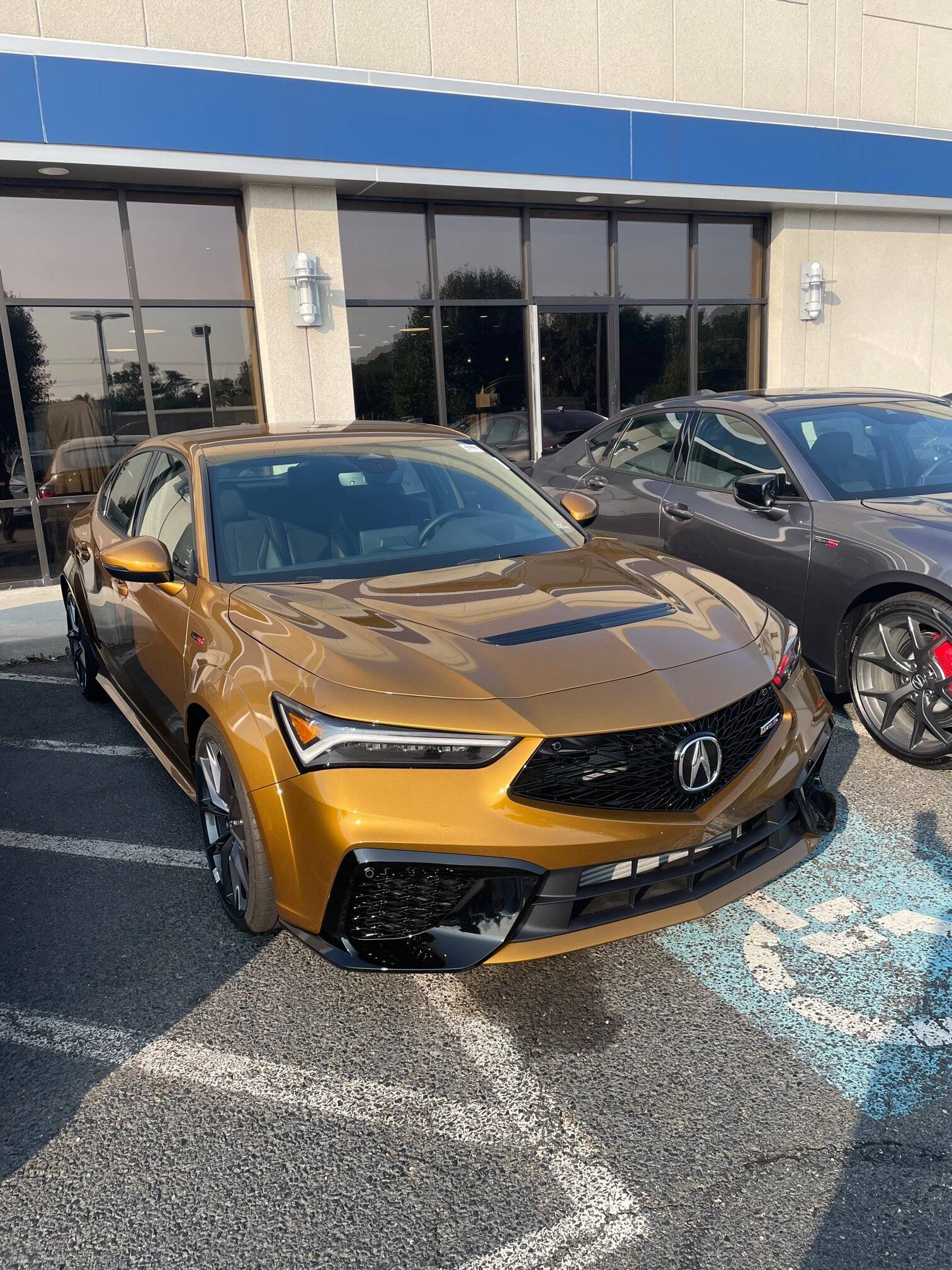 Official TIGER EYE PEARL Integra Club & Photos | IntegraForums - 2023 ...