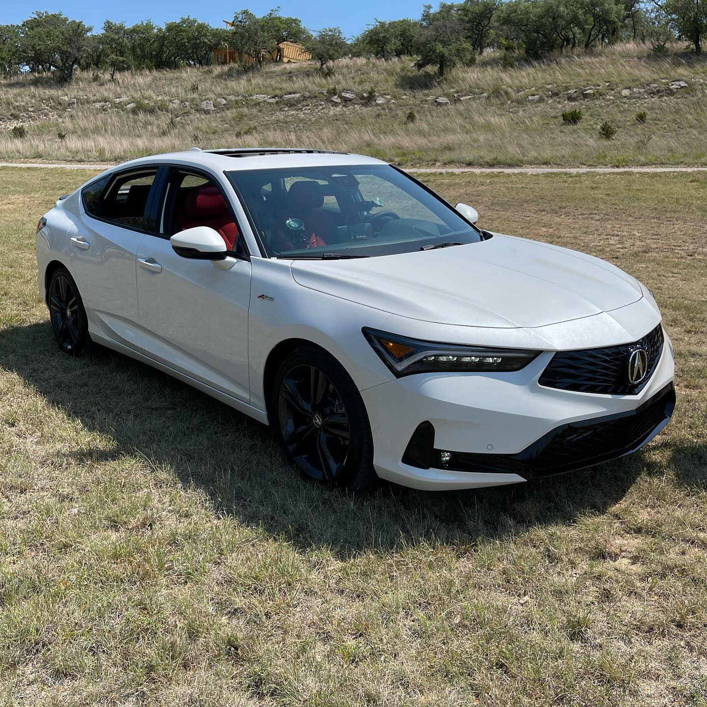 Official PLATINUM WHITE Integra Club & Photos | IntegraForums - 2023 ...
